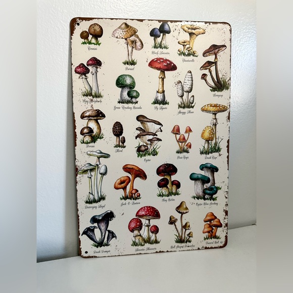 Accents | Mushroom Sign 8x12 Wall Art Vintage Looking Mushroom ...